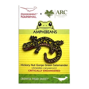Hickory Nut Gorge Green Salamander Pin (amphibians Series) - Etsy