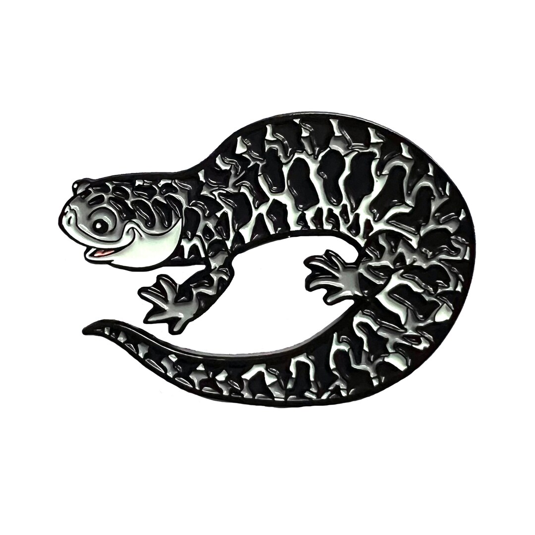 Frosted Flatwoods Salamander Pin (amphibians Series) - Etsy