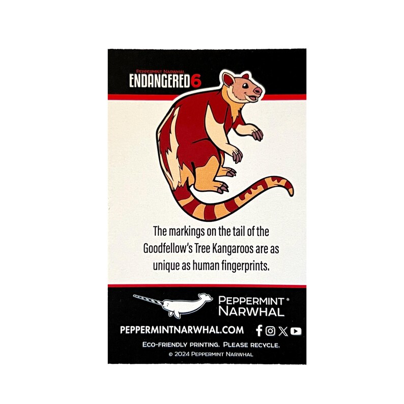 Goodfellow's Tree Kangaroo Pin (endangered Series 6) - Etsy