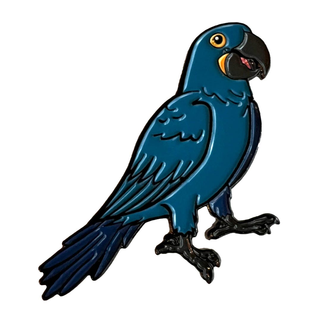 Hyacinth Macaw Pin (parrots Series) - Etsy