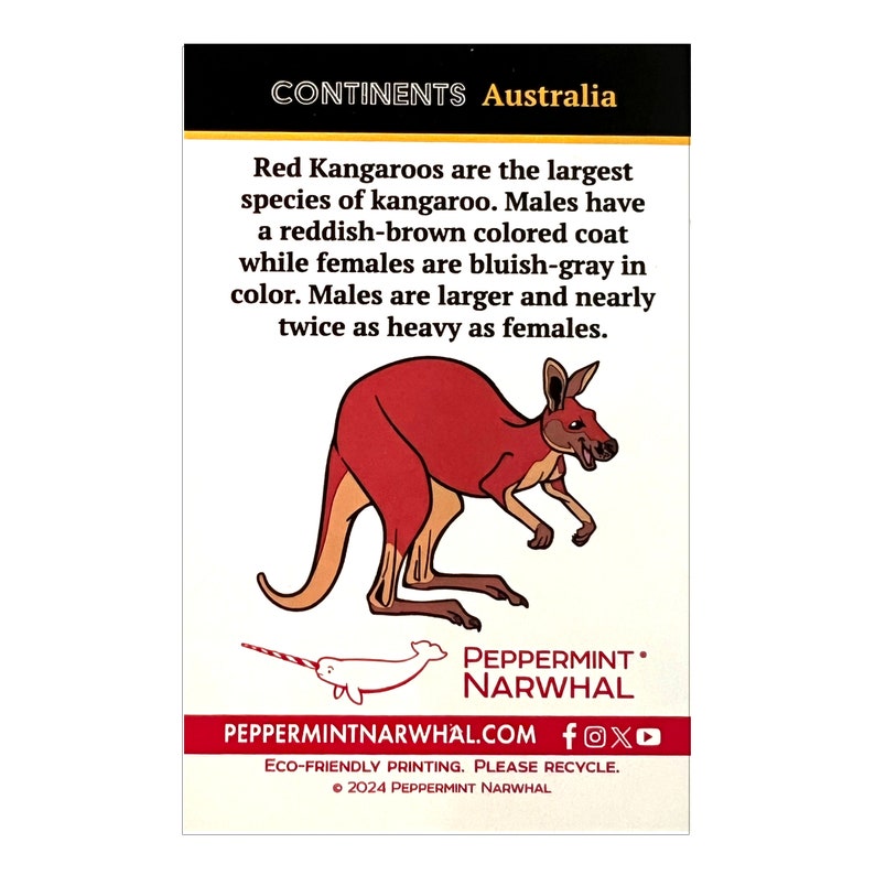 Red Kangaroo Pin (australia Series) - Etsy