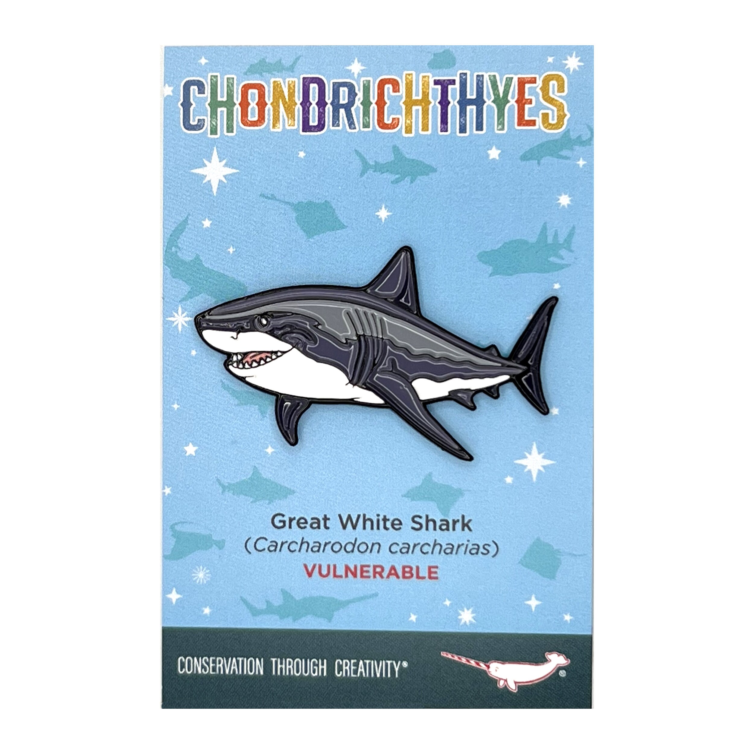 Class Chondrichthyes Carcharodon