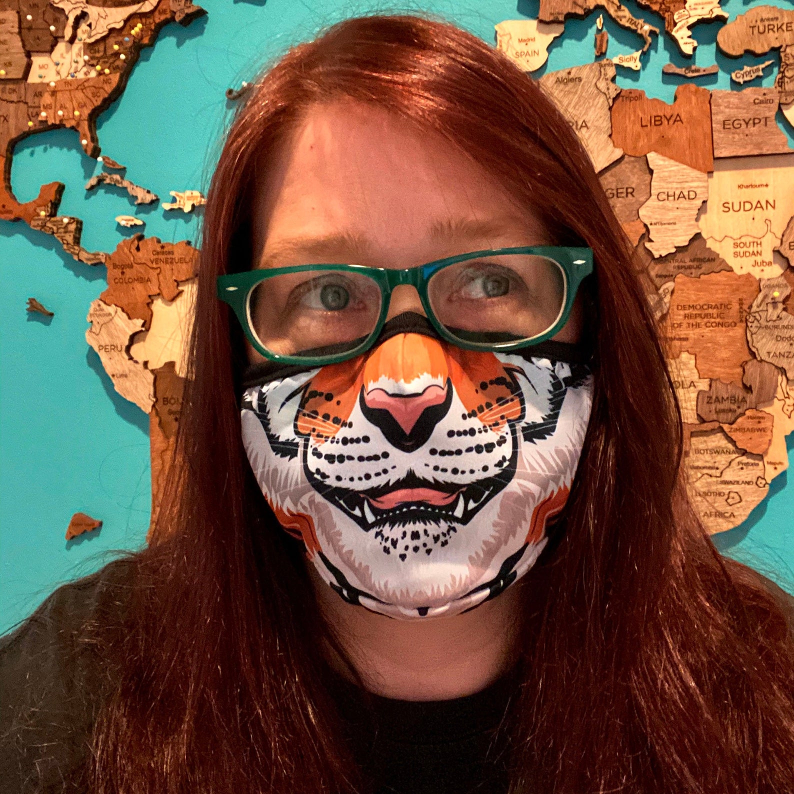 Tiger Face Mask | Etsy