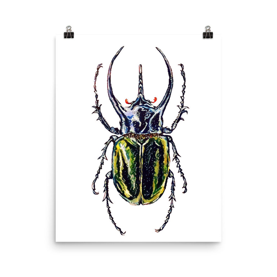 BEETLE - Fine Art Print - Etsy