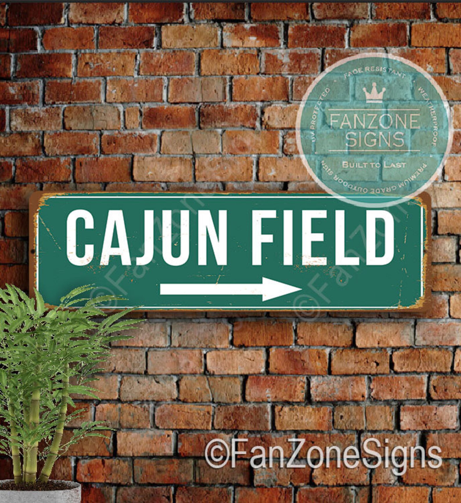 CAJUN FIELD Sign Louisiana Lafayette Ragin Cajuns Souvenir | Etsy