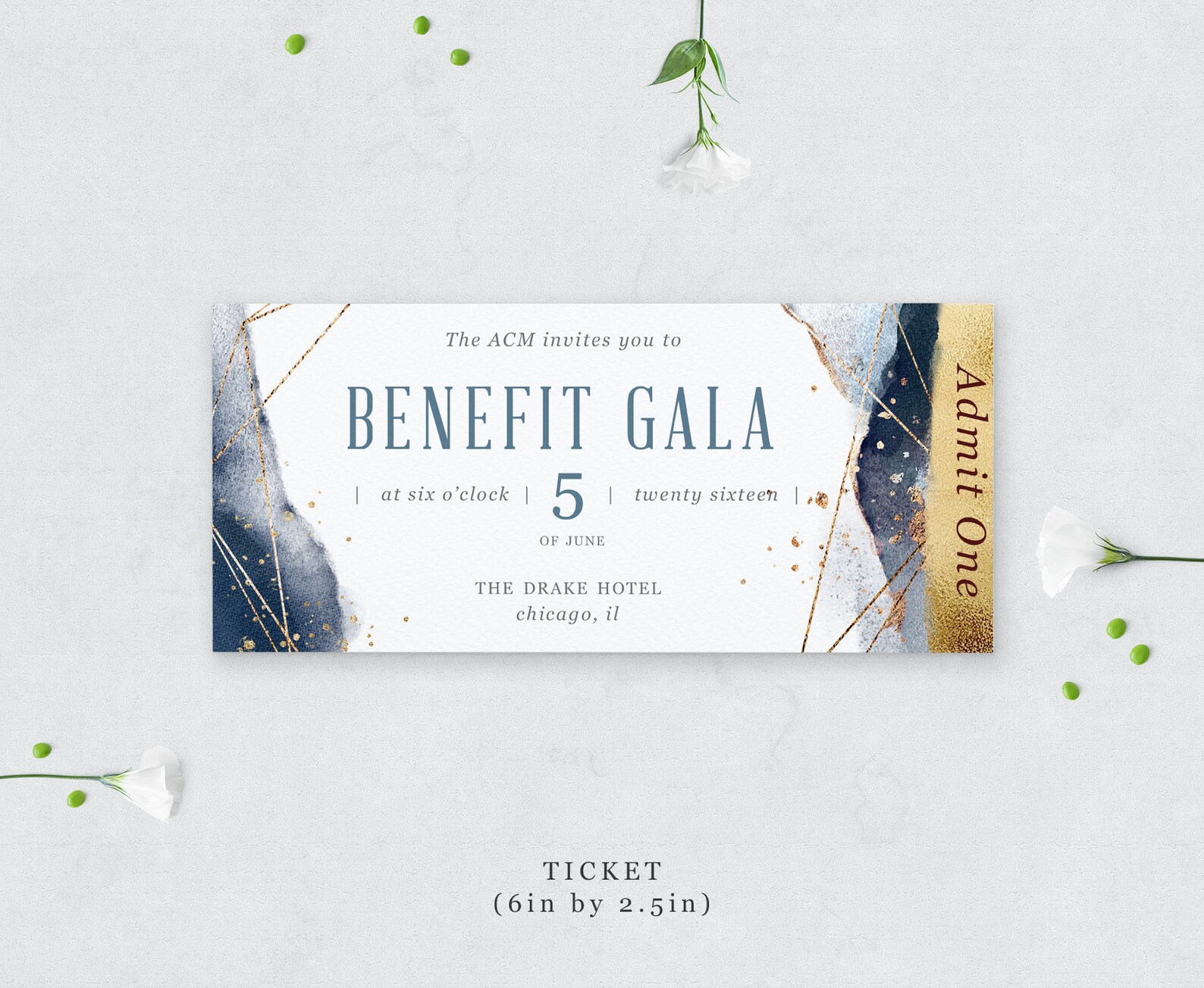 DIY Printable Gala Benefit Dinner Event Flyer Template Marketing Set ...