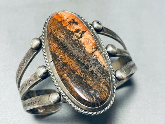 Mars Agate Vintage Native American Navajo Sterling Si… - Gem