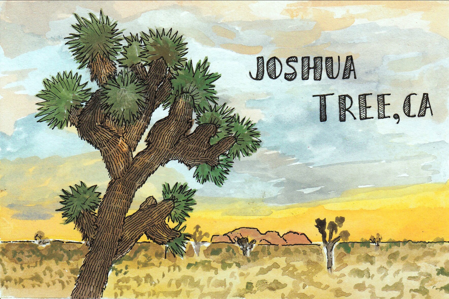 Postcards for Change: Climate & Environmental Concerns, Protest ...