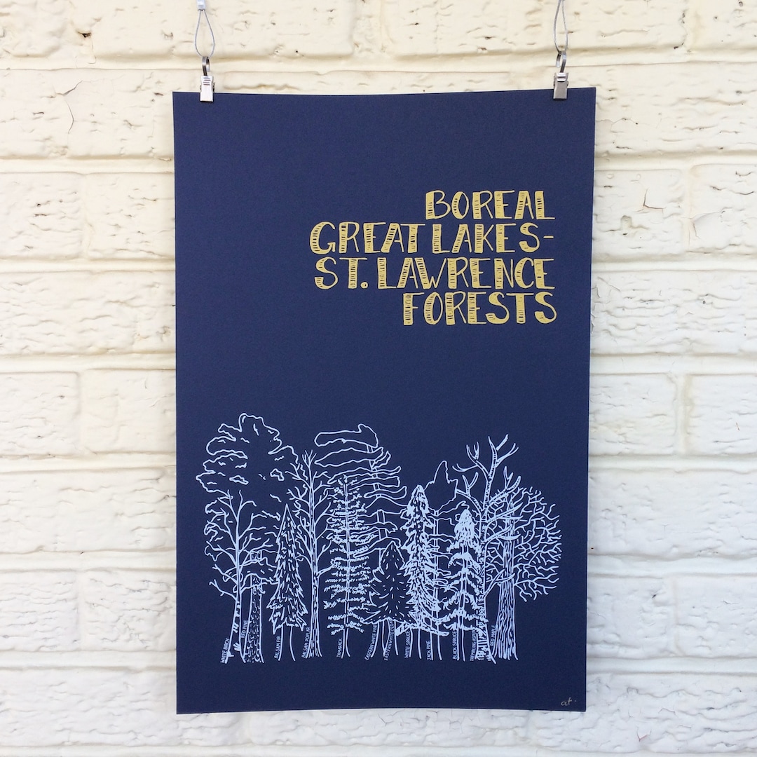 Boreal Forest Screenprinted Poster - Etsy