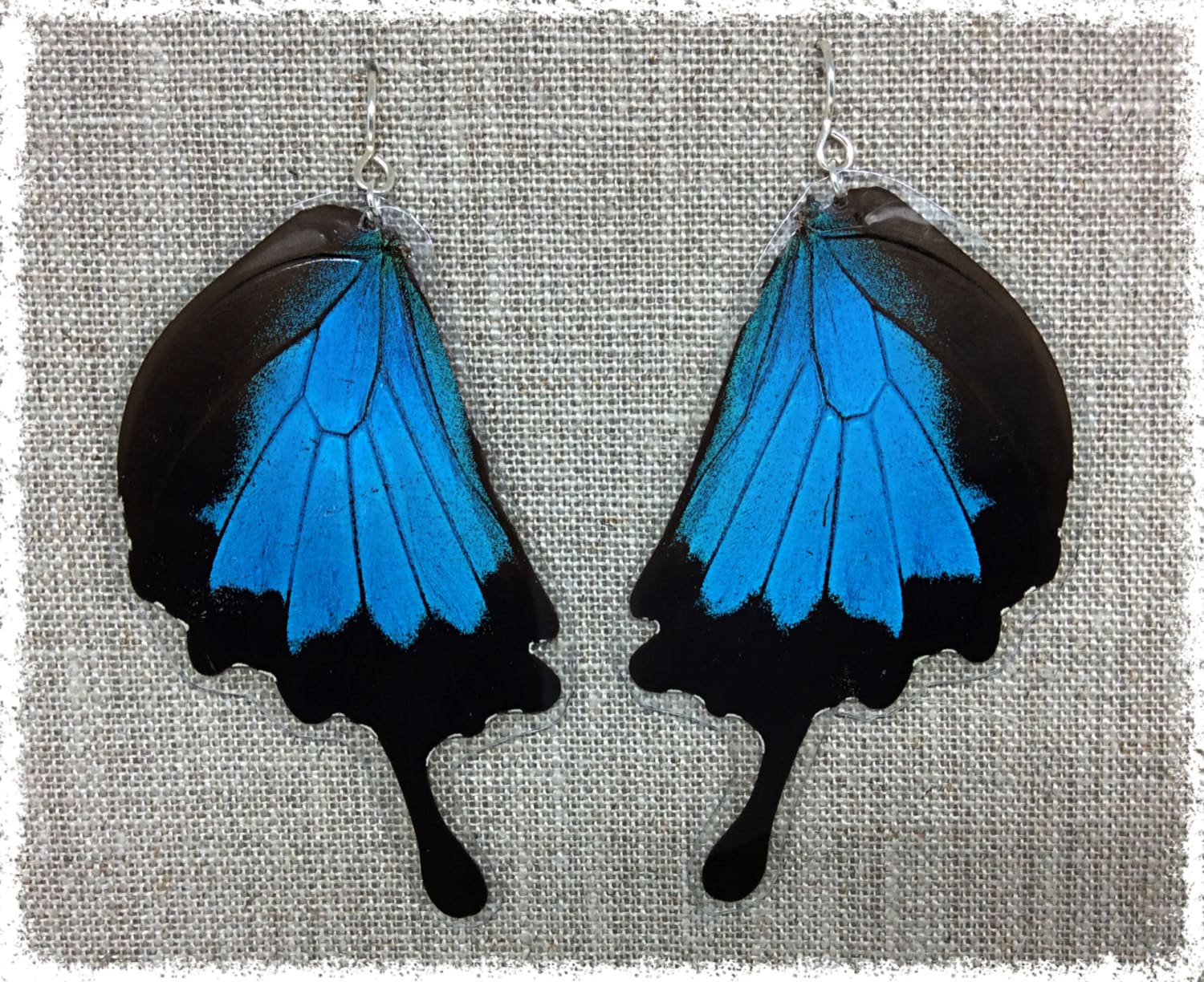 Real Butterfly Wing Jewelry Butterfly Wing Earrings Blue - Etsy