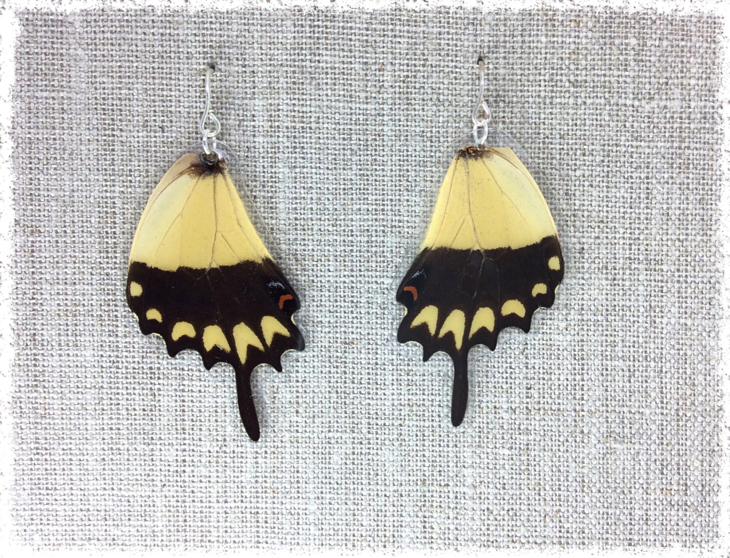 Real Butterfly Wing Jewelry; Butterfly Wing Earrings; Yellow Butterfly ...