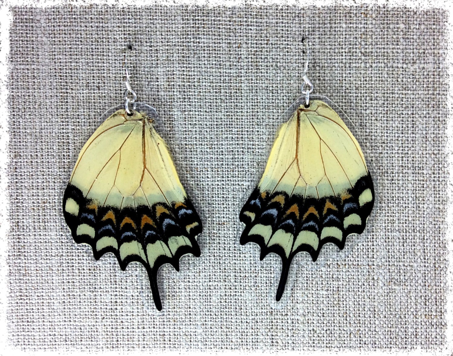 Real Butterfly Wing Jewelry; Butterfly Wing Earrings; Yellow Butterfly ...