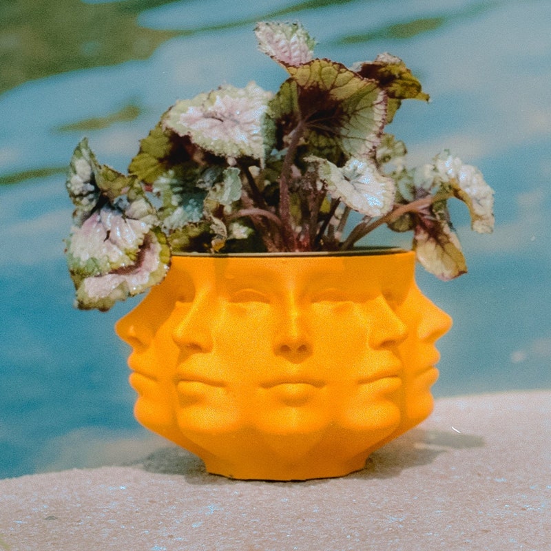 Face Planter Pot - Etsy