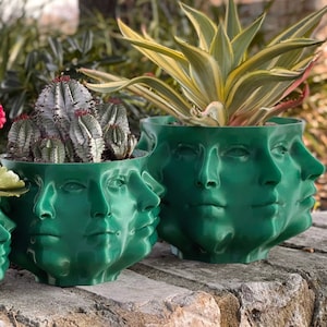 The Polyface Planter - Etsy