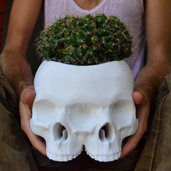Skull Planter - Etsy