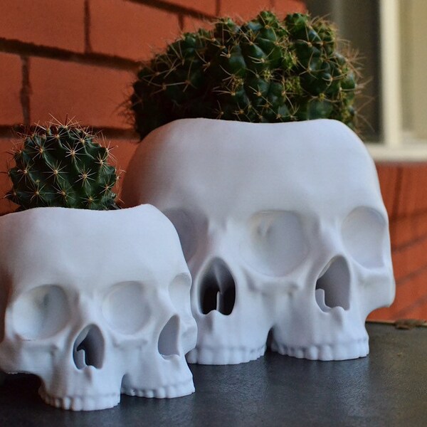 Skull Planter - Etsy