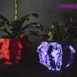 The Polyface Planter - Etsy