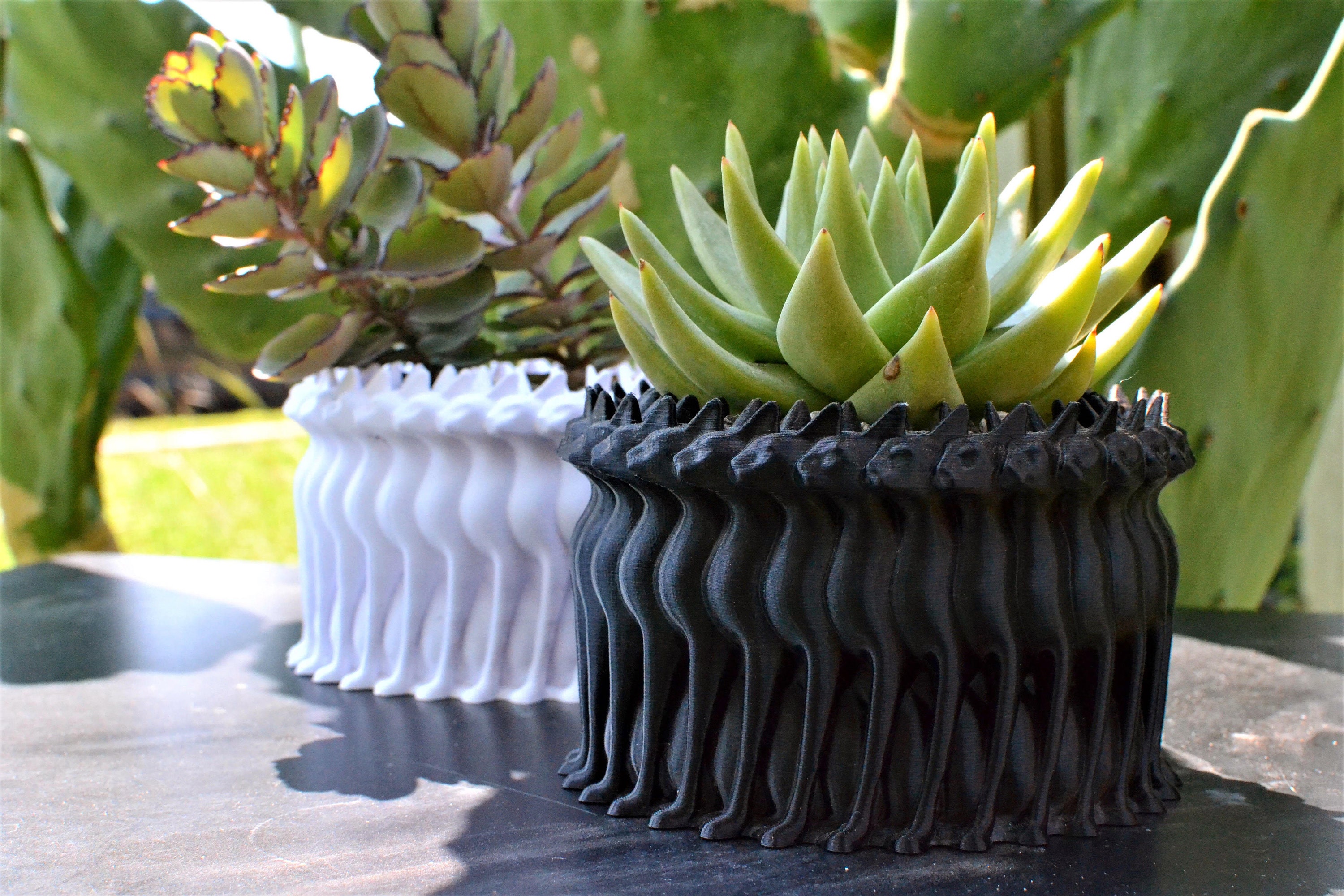 3D Printed Polycat Planter,3d printed planter pot Maker Supplies 3D ...