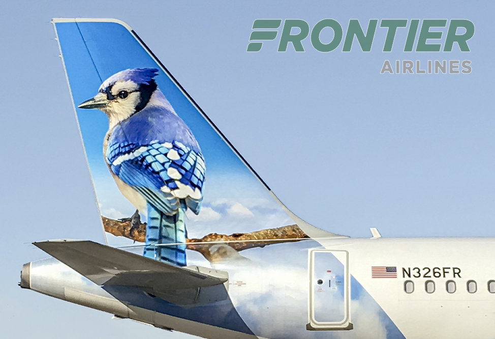 Frontier Airlines Skye the Blue Jay Tail Logo, Handmade 3.25 X 2.25 ...