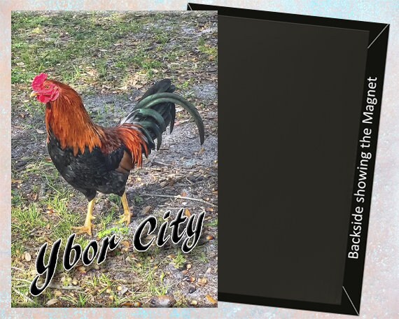 Ybor City Tampa Rooster Handmade 3.25 X 2.25 - Etsy