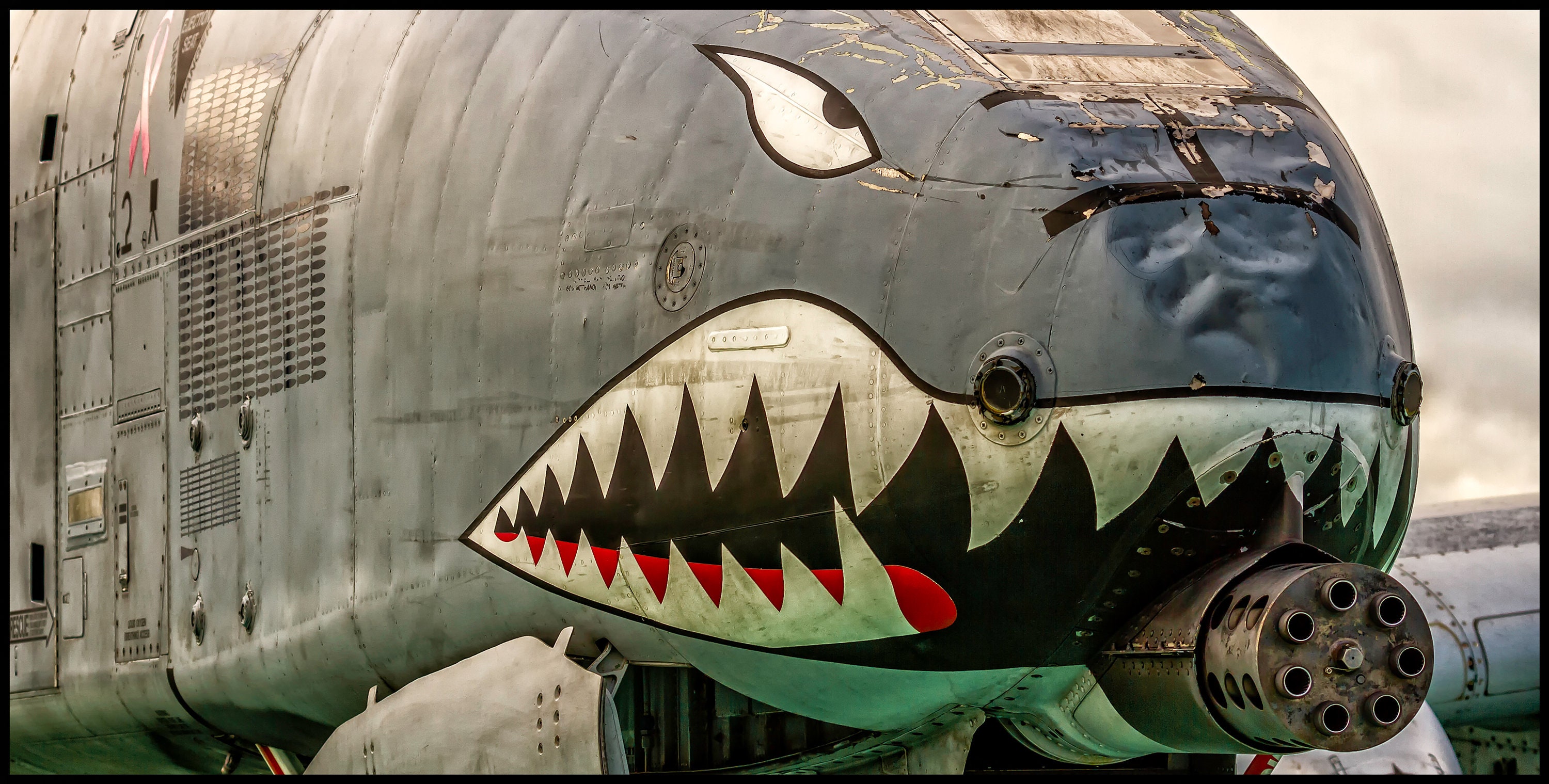 A-10 Warthog, Nose Close Up, 10" X 20" Color Photograph (APPM70003) - Etsy