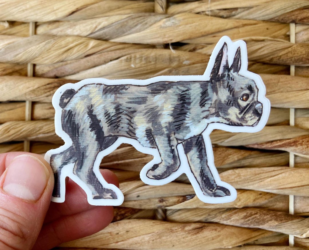 French Bulldog Breed Sticker - Durable Vinyl Decal for Water Bottles ...