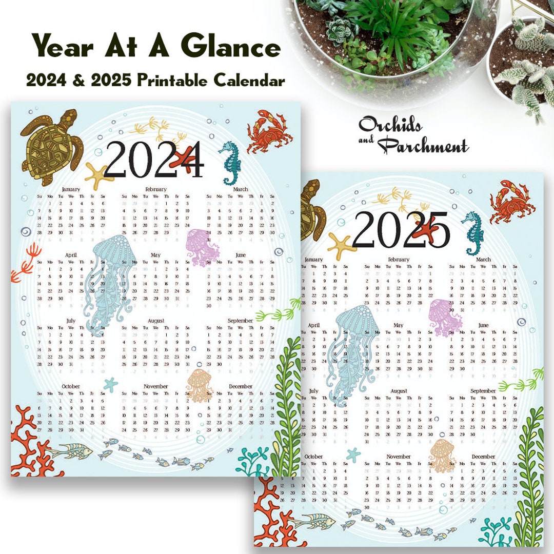 Year at A Glance Calendar Ocean Life 2024 2025 Letter Size 8.5 X 11 ...