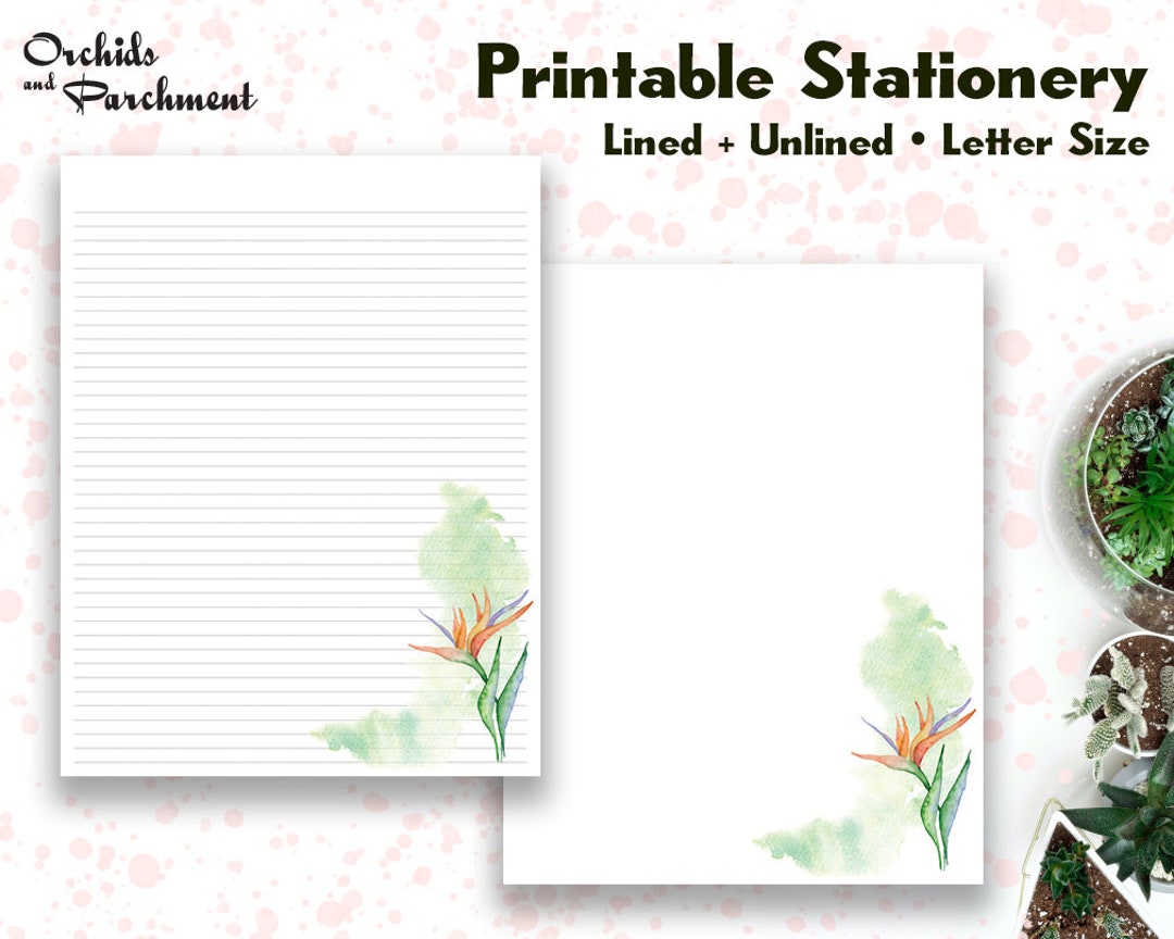 Stationery Birds of Paradise - Letter Writing Paper - Letter Size 8 ...