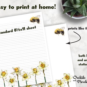 Stationery Daffodil Bee - Letter Writing Paper - Letter Size 8.5x11 ...