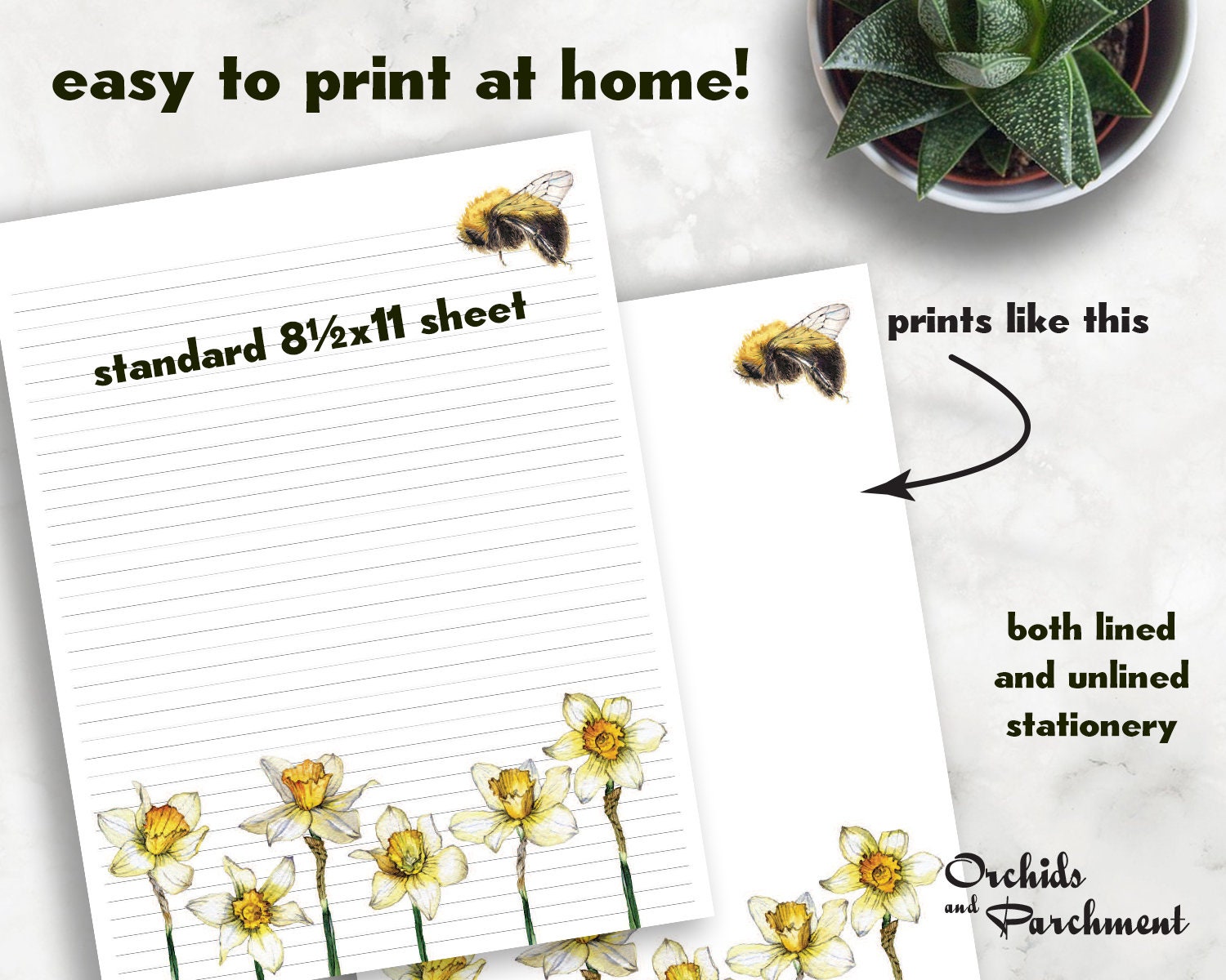 Stationery Daffodil Bee - Letter Writing Paper - Letter Size 8.5x11 ...