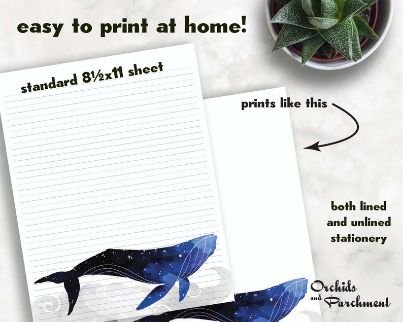 Stationery Celestial Whale Letter Writing Paper Letter - Etsy