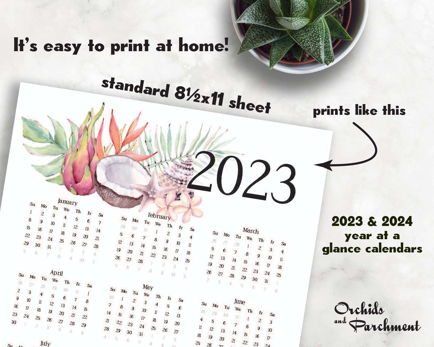 Year at A Glance Calendar Beach Tropical 2023 2024 - Etsy