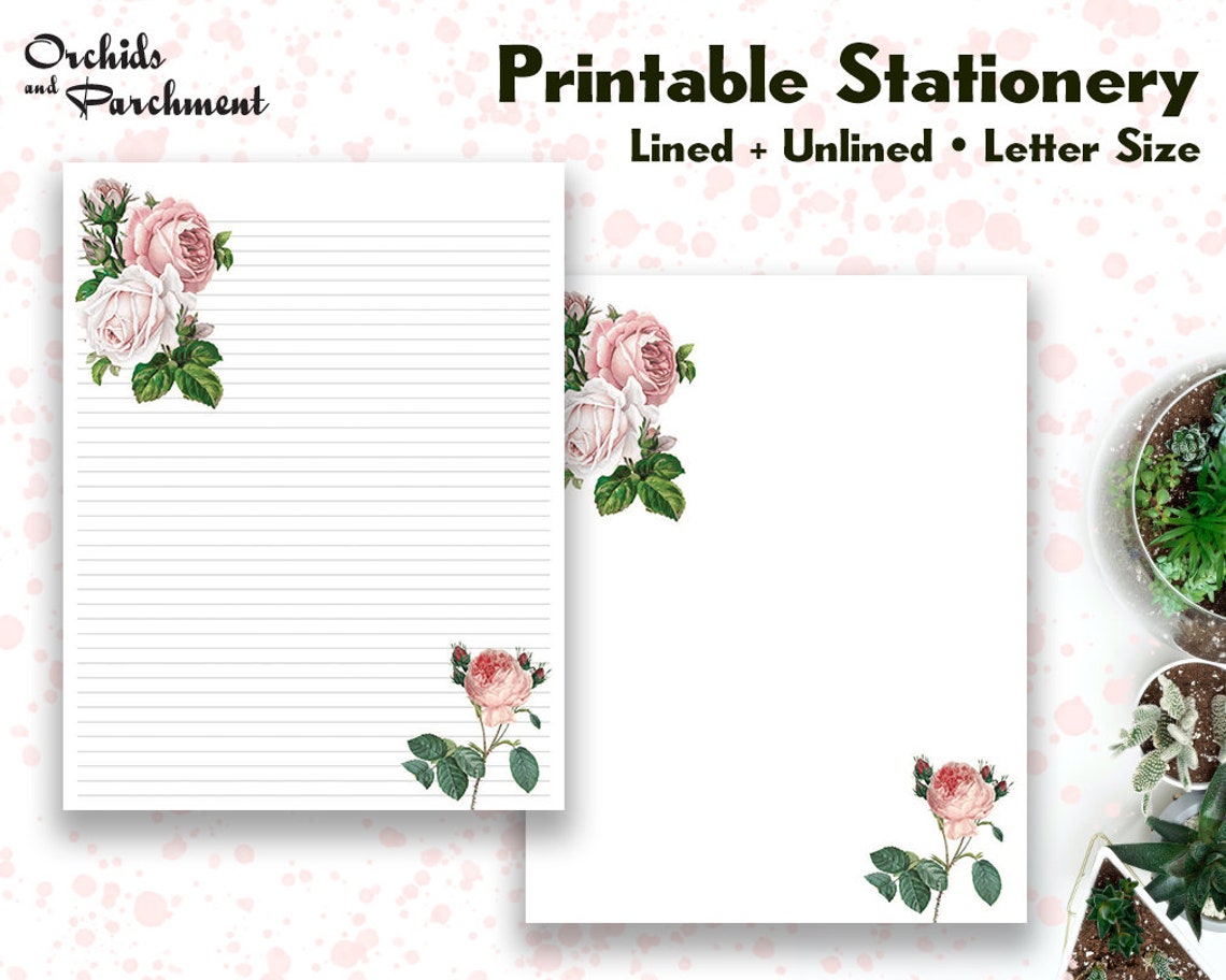 Stationery Blush Pink Roses Letter Writing Paper Letter - Etsy