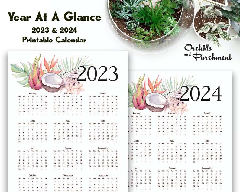 Year at A Glance Calendar Beach Tropical 2023 2024 - Etsy