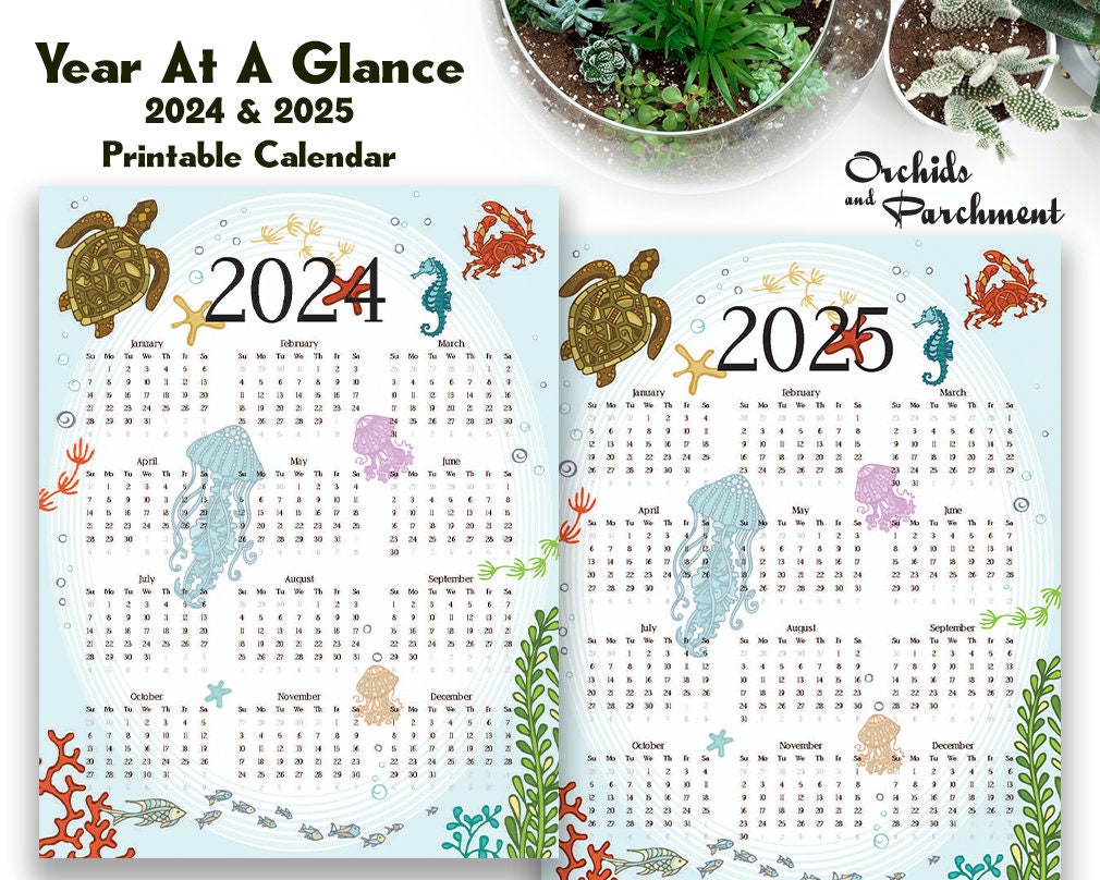 Year at A Glance Calendar Ocean Life 2024 2025 Letter Size 8.5 X 11 ...