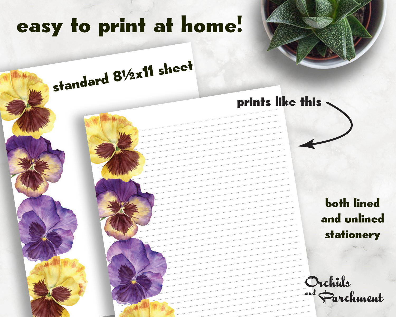 Stationery Pansies Quad Letter Writing Paper Letter Size 8.5x11 Lined ...