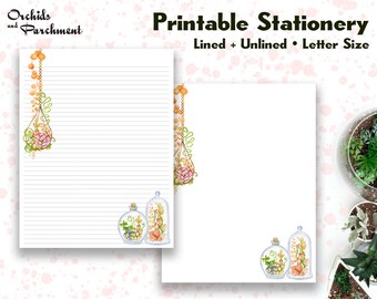 Stationery Doodle Cactus Letter Writing Paper Letter Size 8.5x11 Lined ...