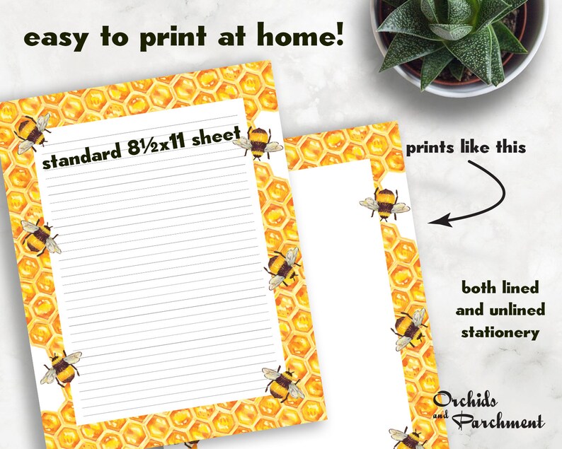 Stationery Honeycomb Bees Border - Letter Writing Paper - Letter Size 8 ...