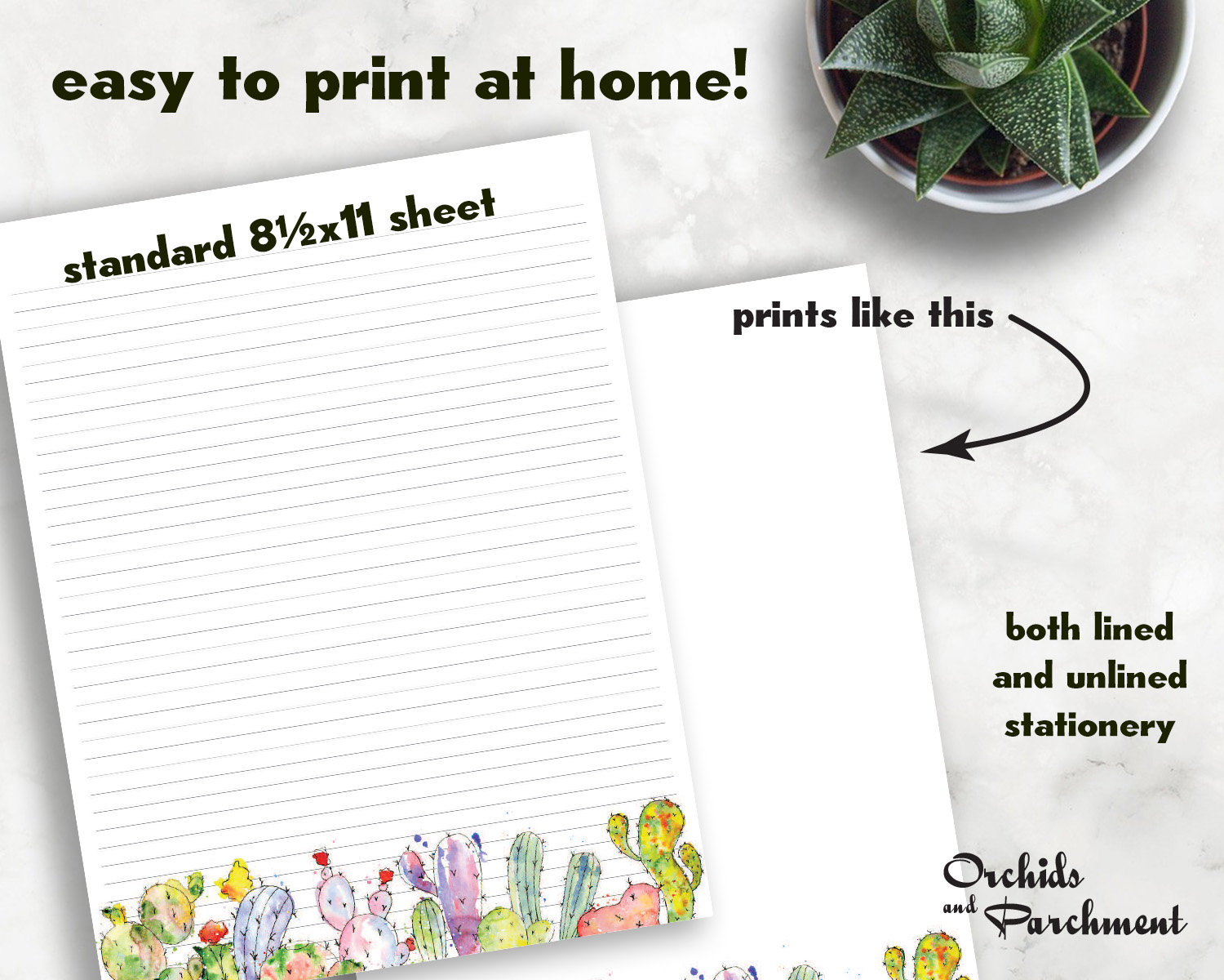 Stationery Doodle Cactus - Letter Writing Paper - Letter Size 8.5x11 ...