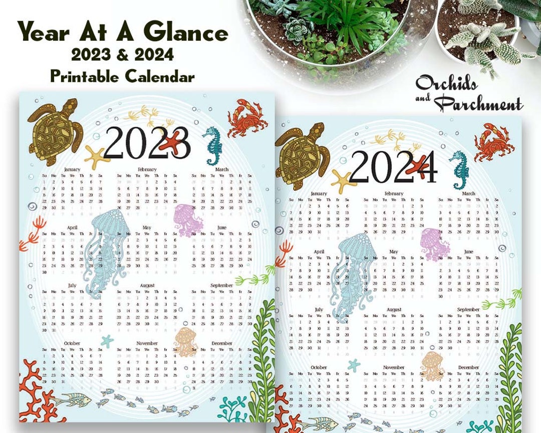 Year at A Glance Calendar Ocean Life 2023 2024 Letter - Etsy