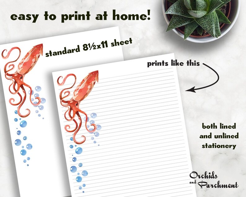 Stationery Squid Corner - Letter Writing Paper - Letter Size 8.5x11 ...