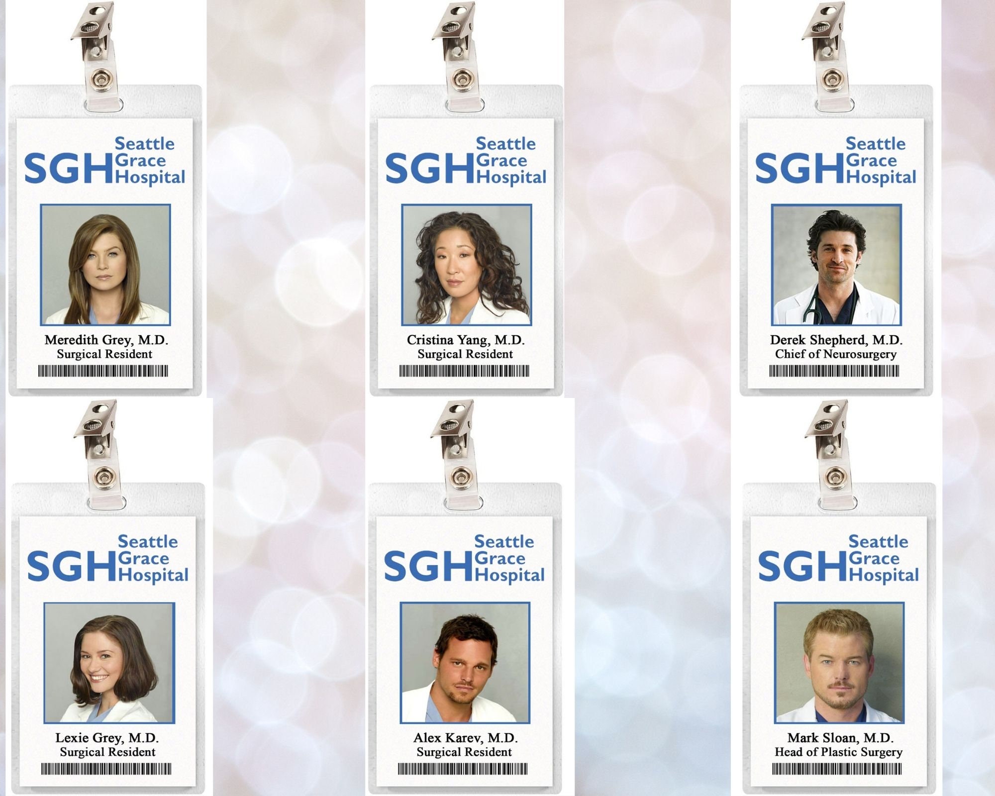 Grey's Anatomy Seattle Grace Hospital ID Badge: Meredith, Derek, Alex ...