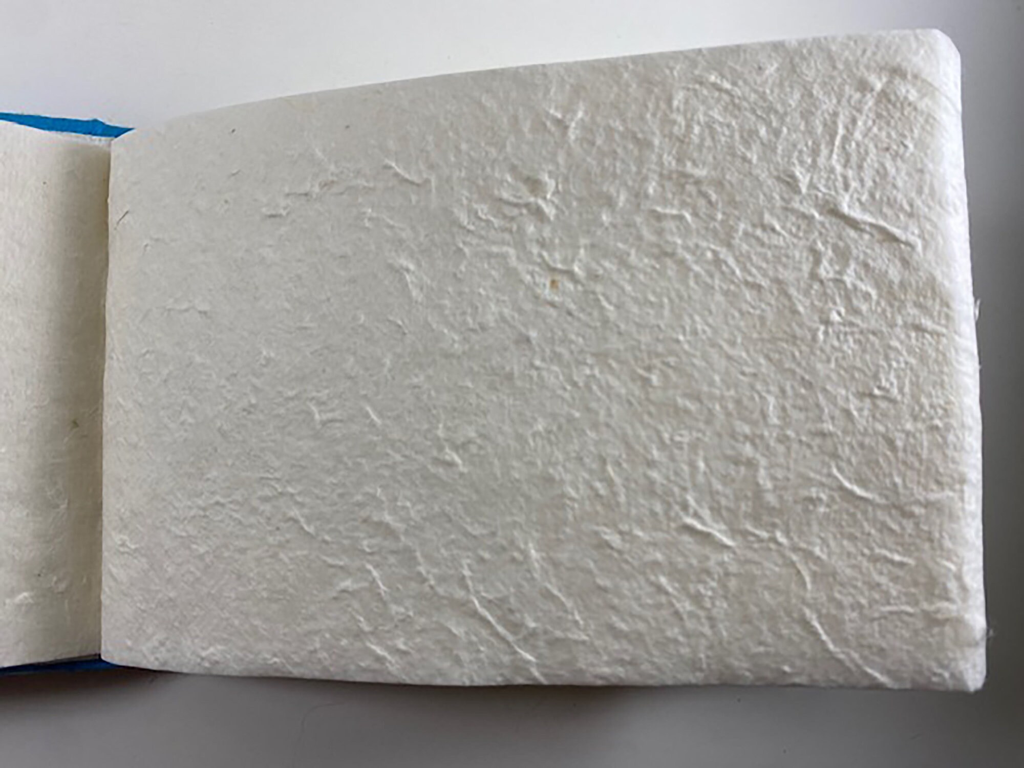 NOTEBOOK/JOURNAL Handmade Paper Flower Cover Tiny Roses in Variety or ...