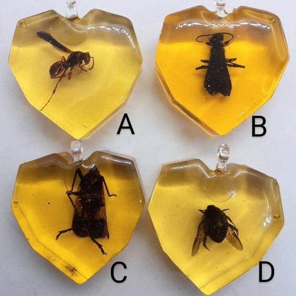 Jurassic Park Amber Keychain - Etsy