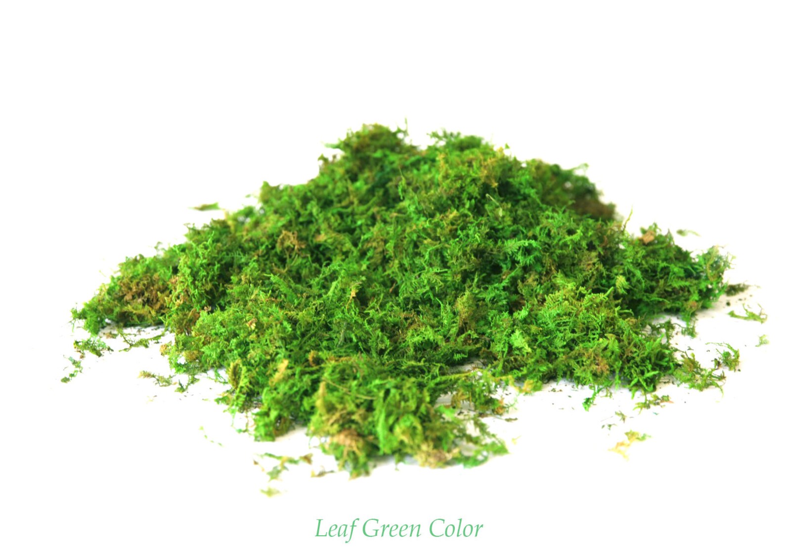 SPECIAL! Loose Forest Moss Premium Preserved in Color Leaf Green - Etsy