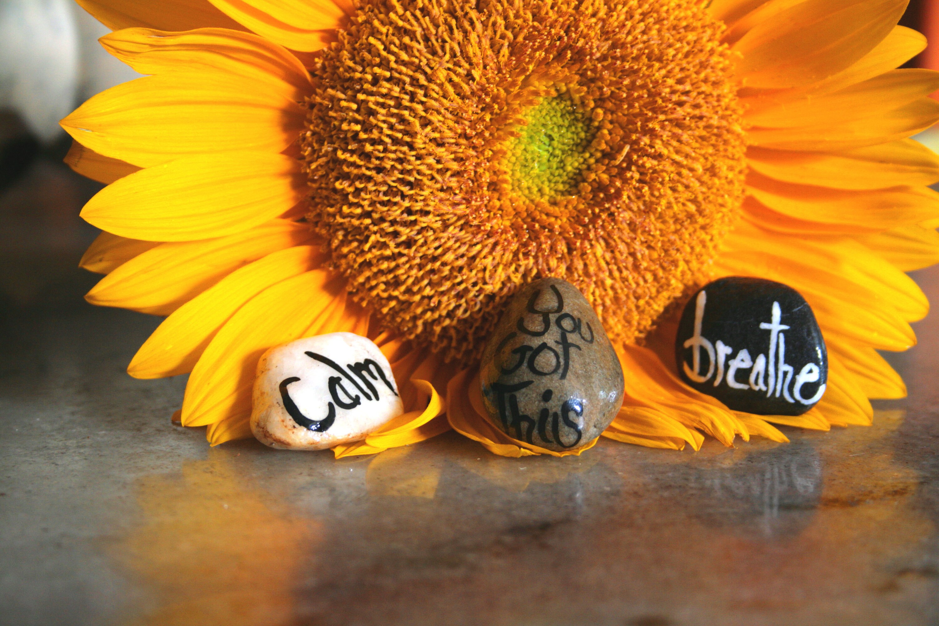 Inspirational Hand Painted Beach Rocks Spiritual Gift for - Etsy