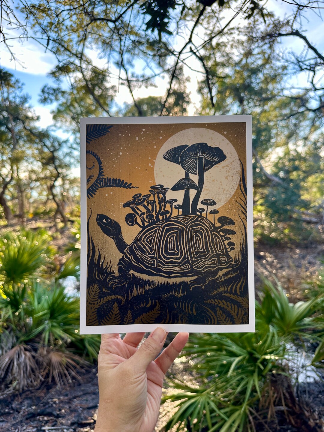 Box Turtle and Mushroom Art Print - Etsy