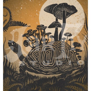 Box Turtle and Mushroom Art Print - Etsy