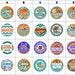 Dolphins Inspired ID Badge, Badge Holder, ID Badge, Retractable ID ...