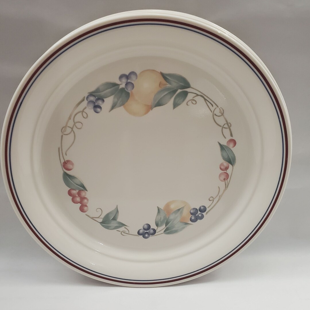 Corelle by Corning Set of 4 Dinner Plates in the ABUNDANCE Pattern 10 1 ...